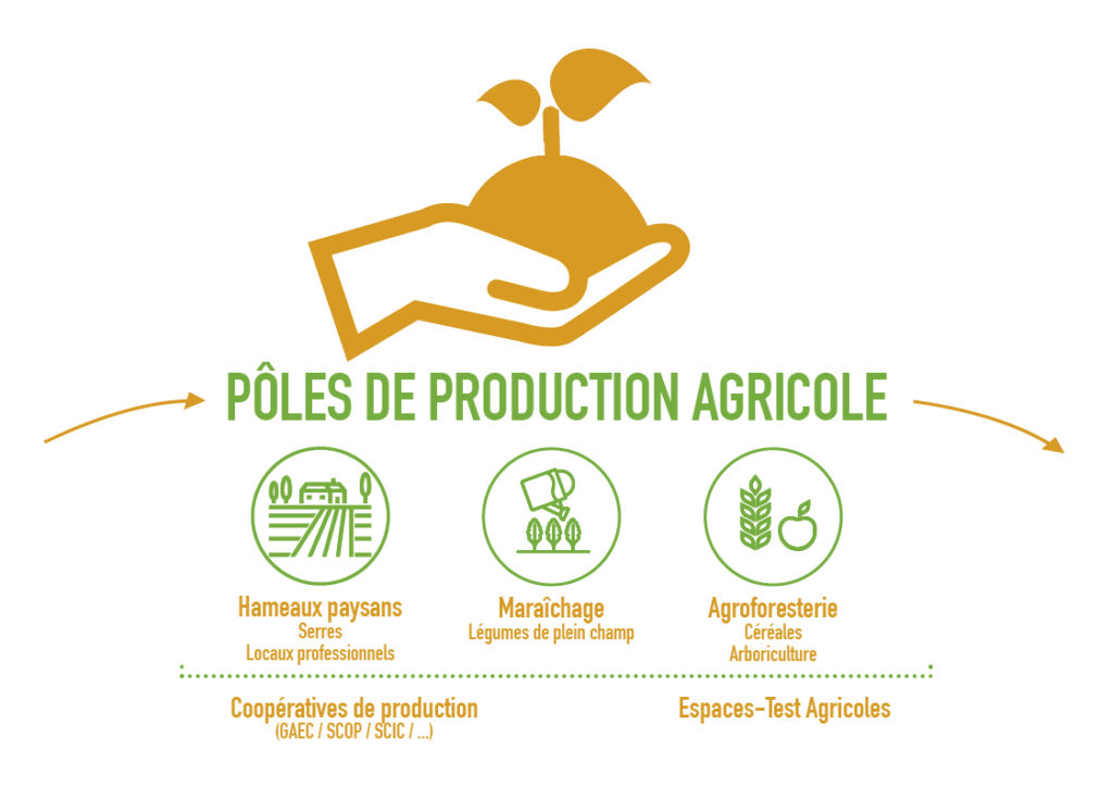 Cycle alimentaire – CARMA